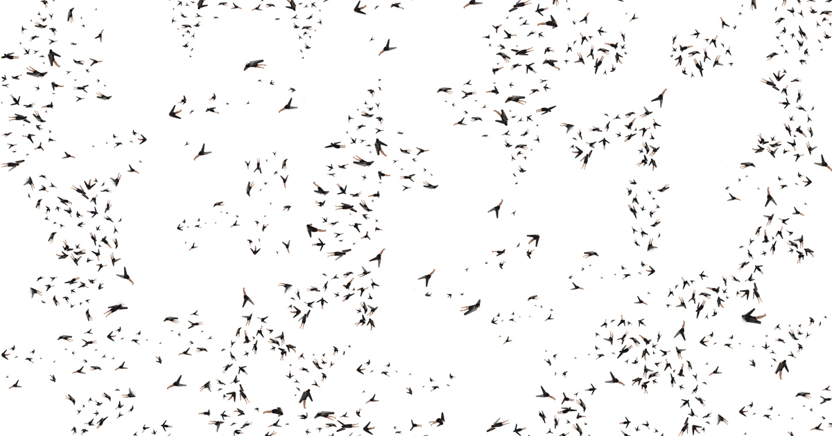 Esquive - Art public de la Ville de Québec